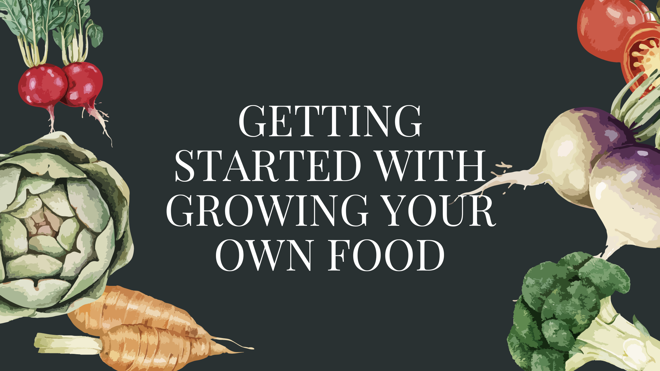 Getting Started With Growing Your Own Food - Wild Rose Path
